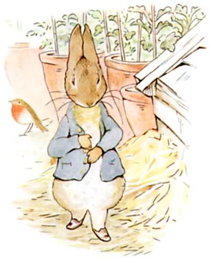 The Tale of Peter Rabbit by Beatrix Potter